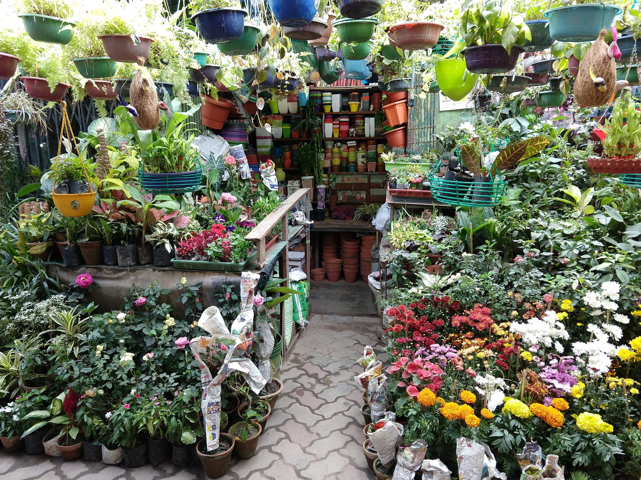 Gariahat Market of Kolkata – A Shopaholics Dream Come True